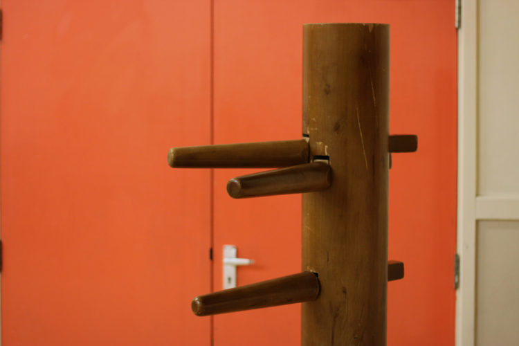 The Wing Chun Curriculum - The Wing Chun School - Sifu Max